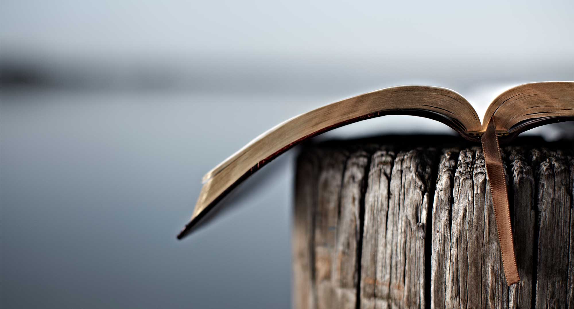 Daily Devotional | Revival & Reformation